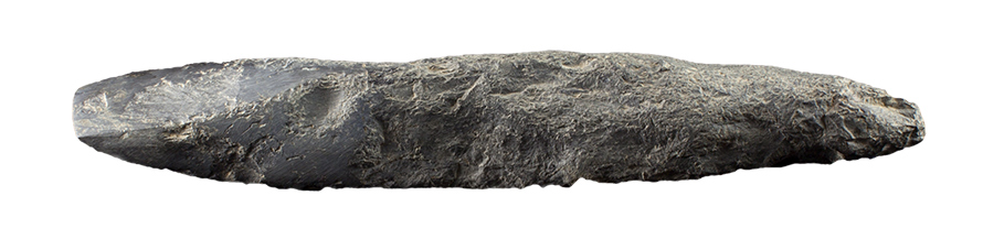 16 – AND MY ADZE!!! – History of Aotearoa New Zealand Podcast