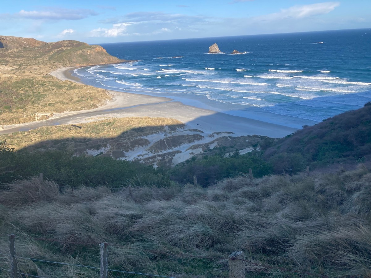 107 – Tapu Tohunga – History of Aotearoa New Zealand Podcast