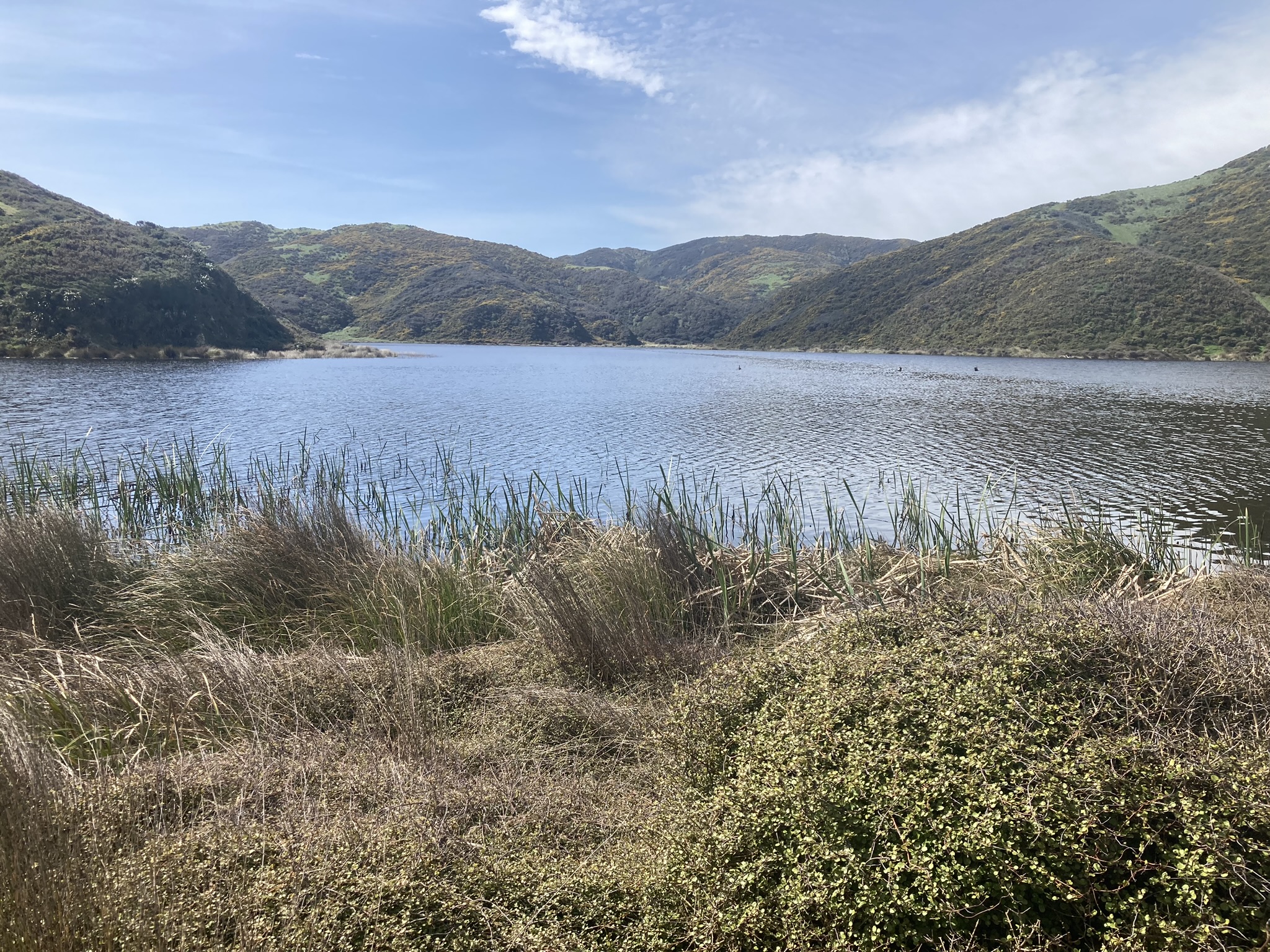 106 – Generous Gods – History of Aotearoa New Zealand Podcast