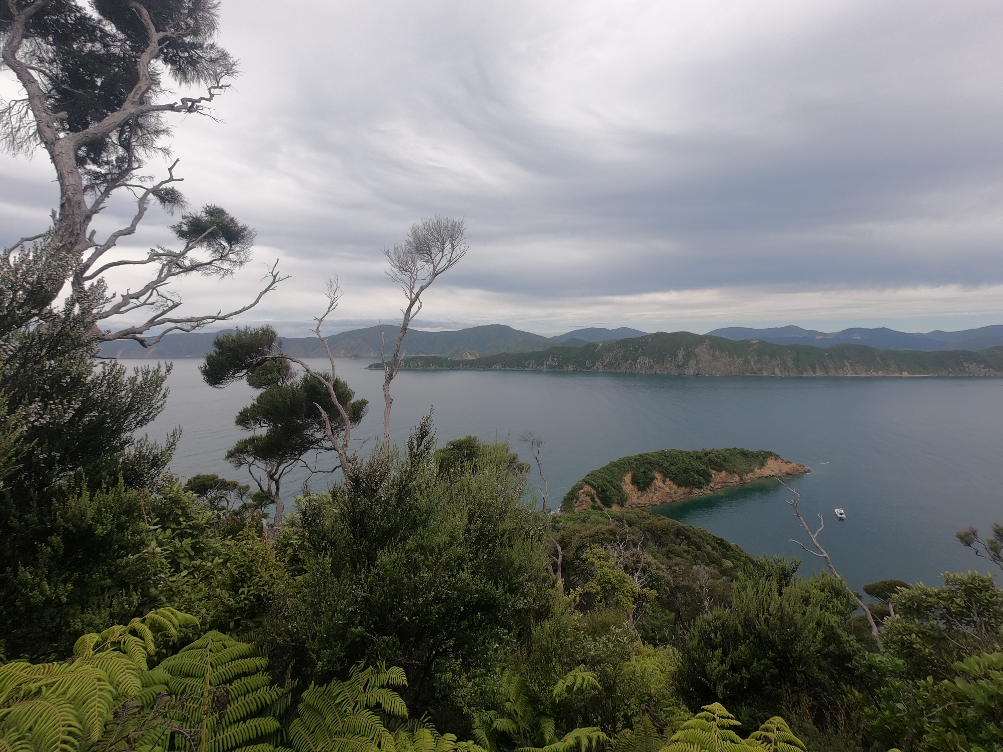 125 – Peace In Our Time – History of Aotearoa New Zealand Podcast